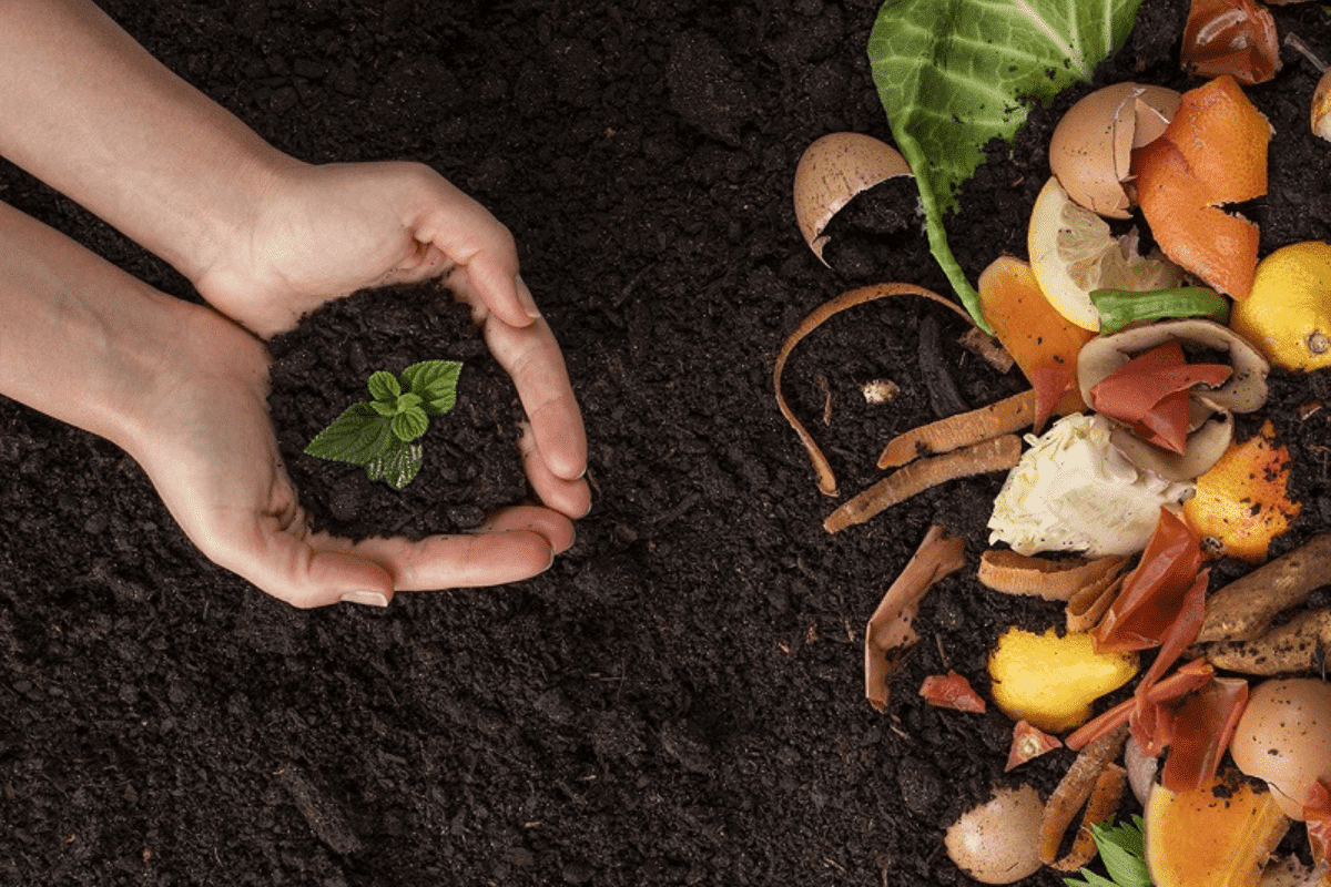 Compostaje: Que es, para que sirve y como hacerlo